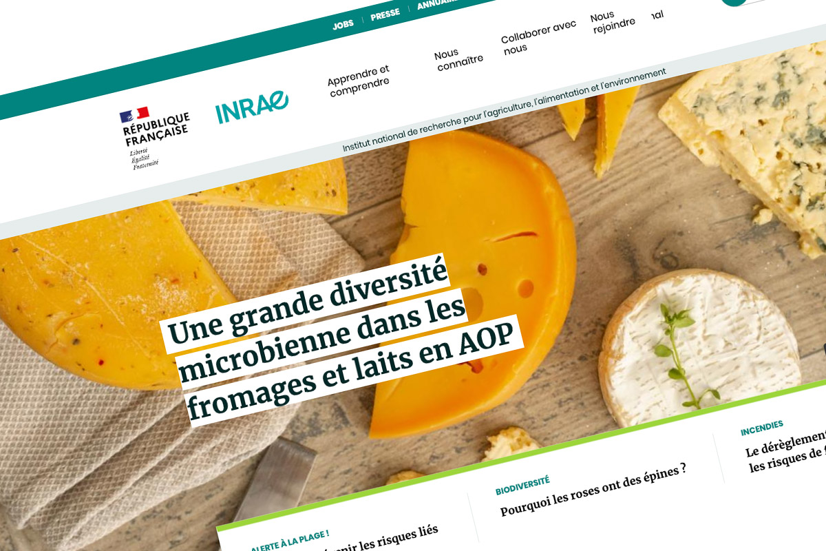 Tout comprendre sur la messagerie INRAE